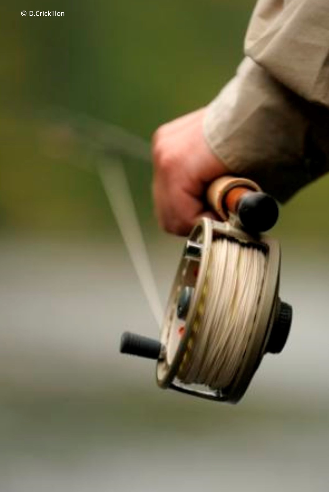 Ga vliegvissen in Hotton, La Roche of Durbuy.