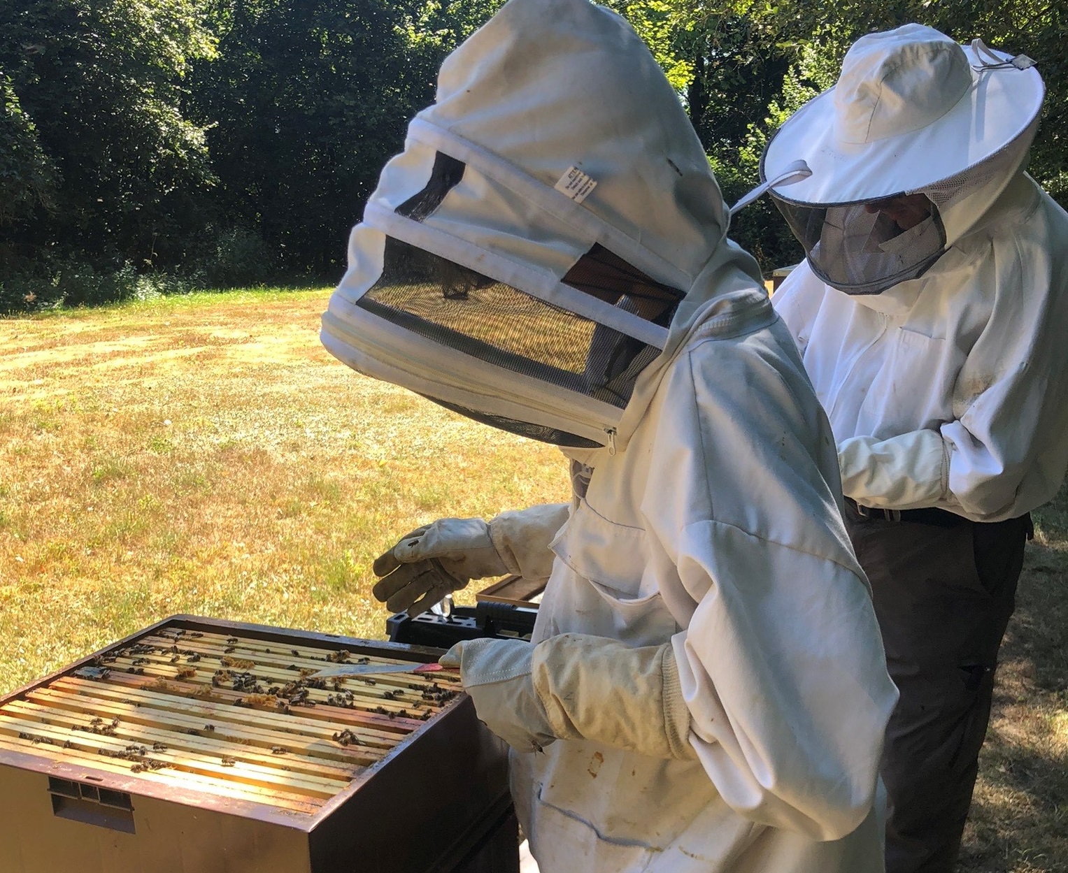 Fauvillers: Kruip in de huid (en het pak!) van een imker