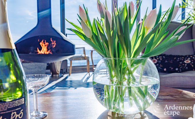 Eigentijdse vakantiewoning mét zwemvijver in Somme-Leuze voor 8 personen